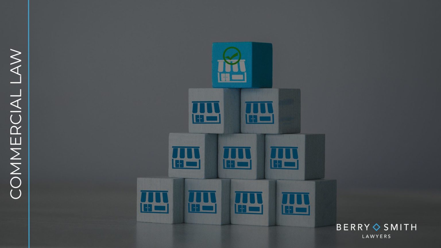 Understanding the Basics: Franchise - Berry Smith